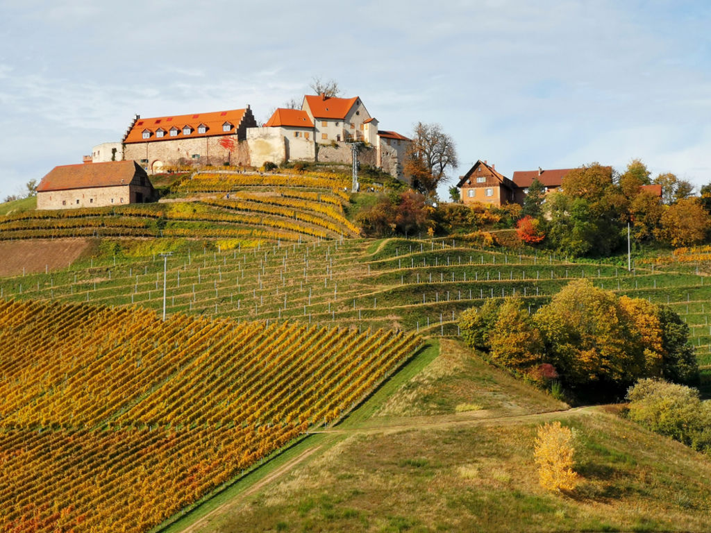 Hotel Ritter Durbach | An der Badischen Weinstraße 🍷