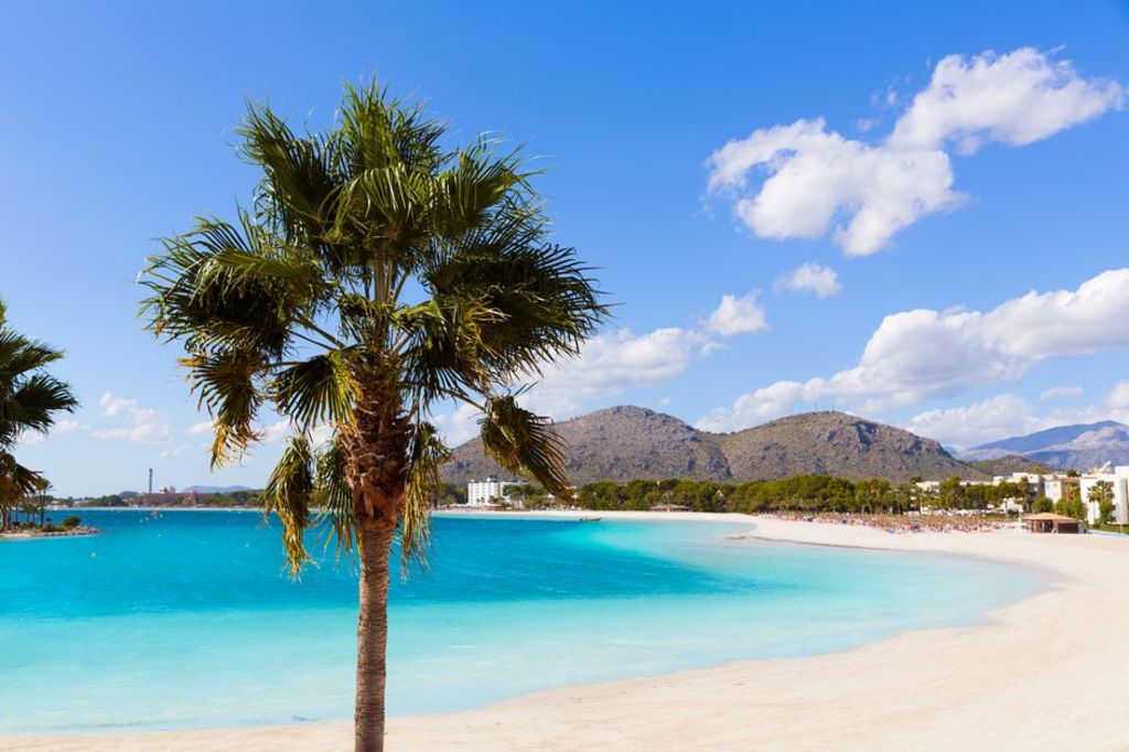 BQ Can Picafort | Mallorca Urlaub