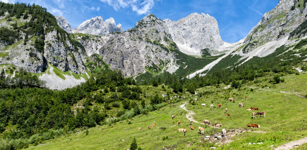 Kurzurlaub in den Tiroler Alpen