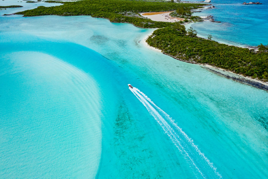 You Can Grab a 2-Hr Ferry from Florida to the Bahamas 🐷 ⛴️