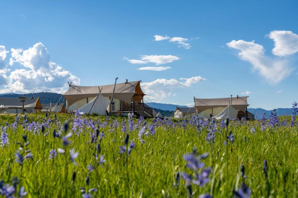 Luxus-Glamping im Yellowstone 🦬