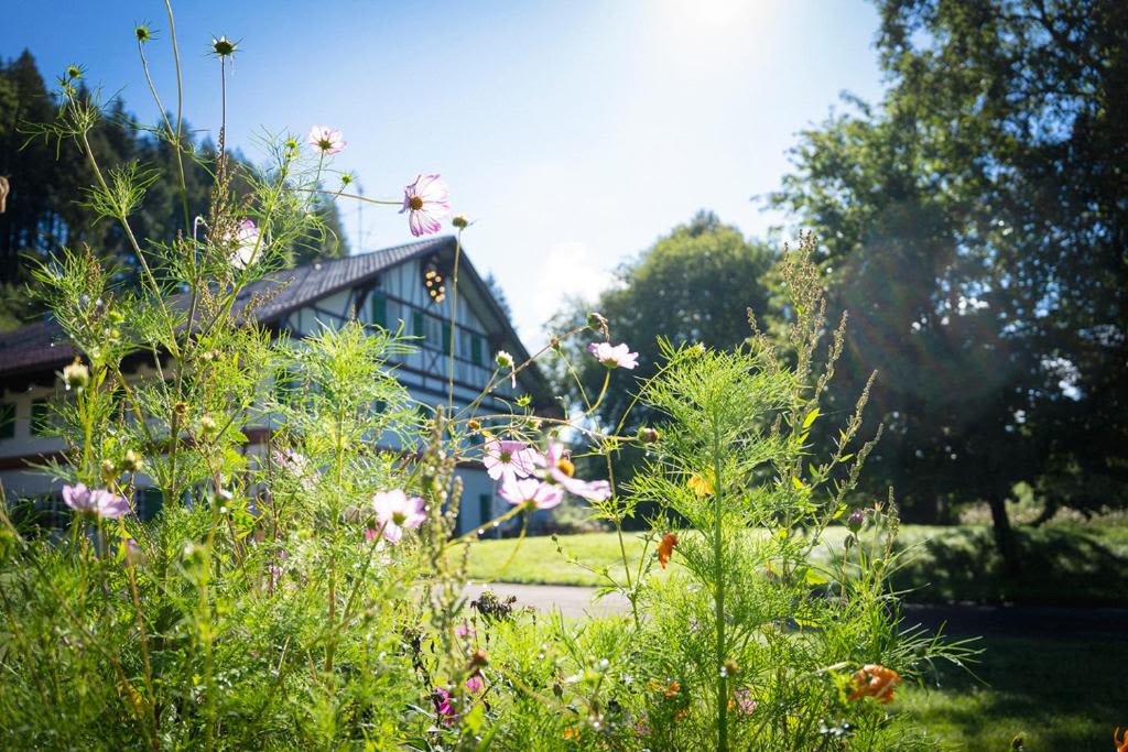 Natur & Spa Resort Allgäu