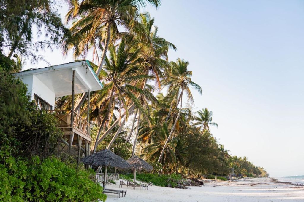 CoCo Tree House | Zanzibar