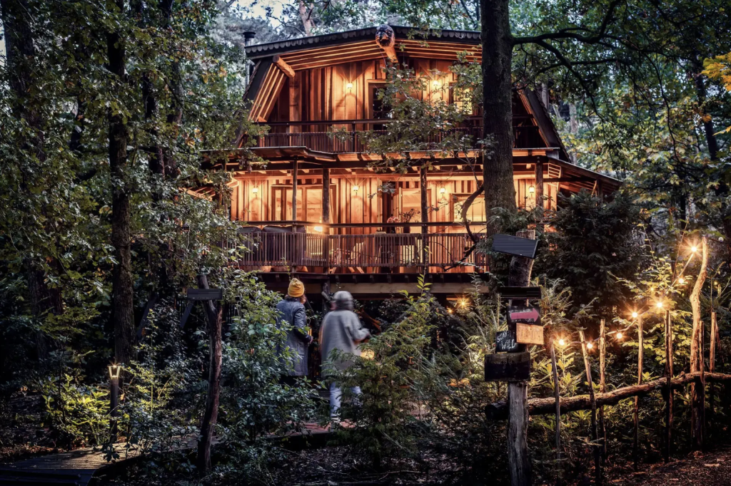 Prachtige boomhut in België 🤎🏡 | VakantiePiraten