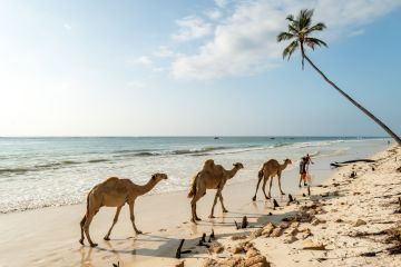 Fodor's 2026 No List: Destinations Travelers Should Reconsider ...