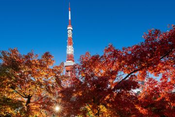 Real-Life Anime Locations in Japan You Need to Visit: The Ultimate ...