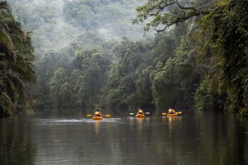 Off-Grid Stay in a Belizean Rainforest Preserve with Chocolate, Rum ...