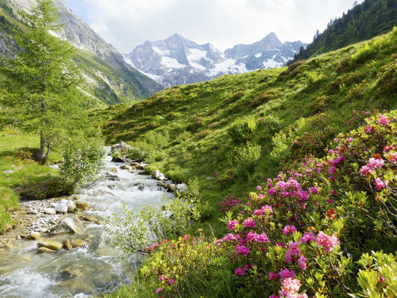 Die Alpen Im Sommer AKTIV In Den ALPEN Als EPaper Lesen | YUMPU News