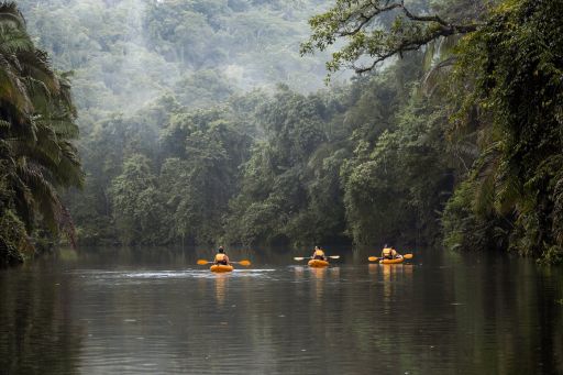 Off-Grid Stay in a Belizean Rainforest Preserve with Chocolate, Rum ...