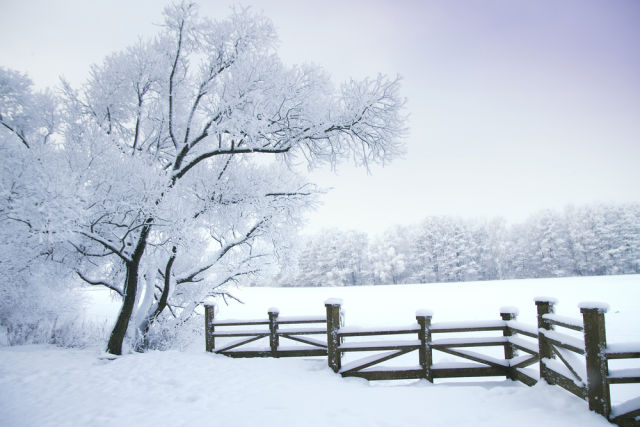 Another Winter Storm Is Taking Shape Along the East Coast | TravelPirates