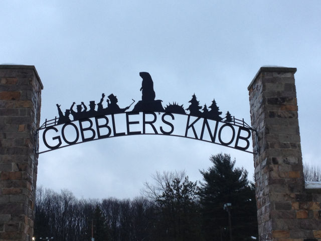 Groundhog Day, Again: Why Thousands Still Trust Punxsutawney Phil ...