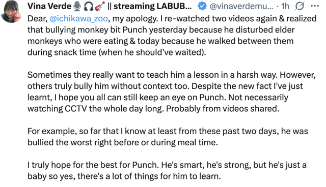 Punch the Baby Monkey Update: Attack By Fellow Monkeys at Ichikawa Zoo ...