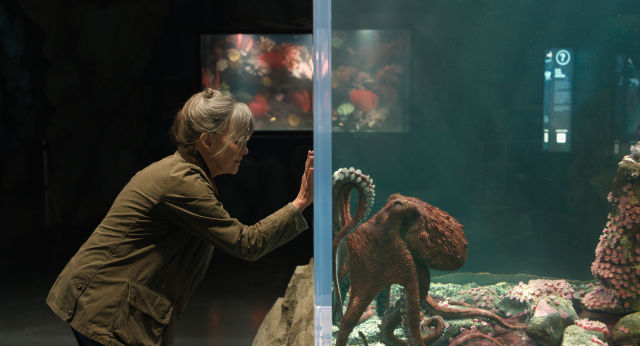 Where Was Remarkably Bright Creatures Filmed? Your Guide to the Real ...