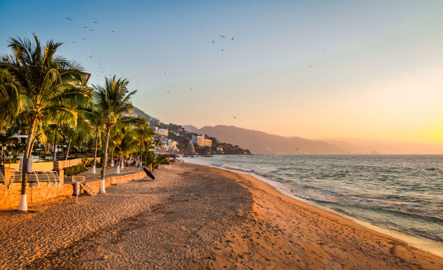 Is Puerto Vallarta Safe Right Now? Crime Stats, Cartel Violence, and a ...
