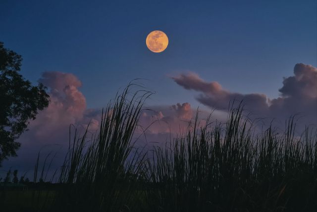 Rare Blue Moon Tonight: Best Time To See May's Micromoon | TravelPirates