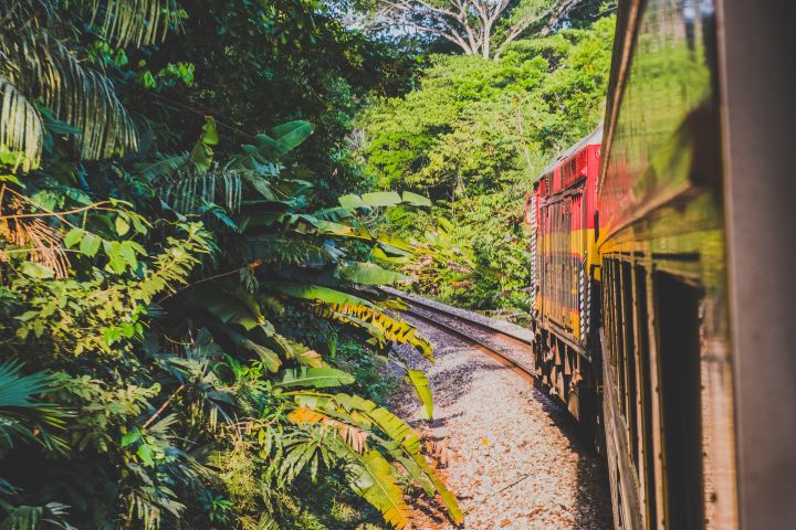 All Aboard the World's Longest Train Journey 🚂