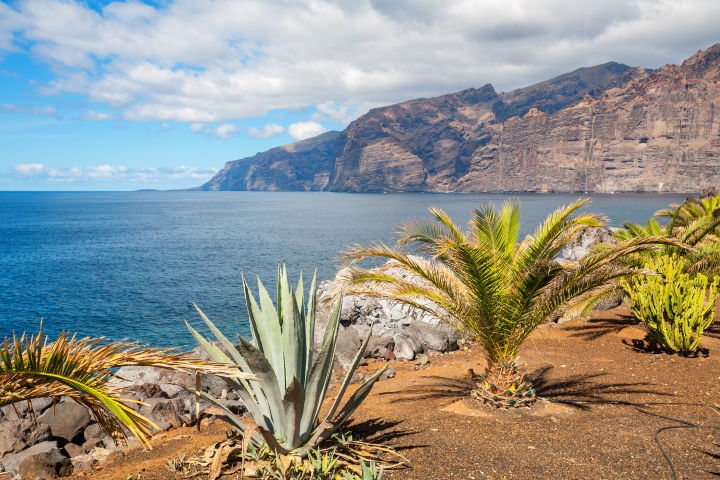 Fantastic Fares on Flights to the Canary Islands 🪶 🌊 | TravelPirates