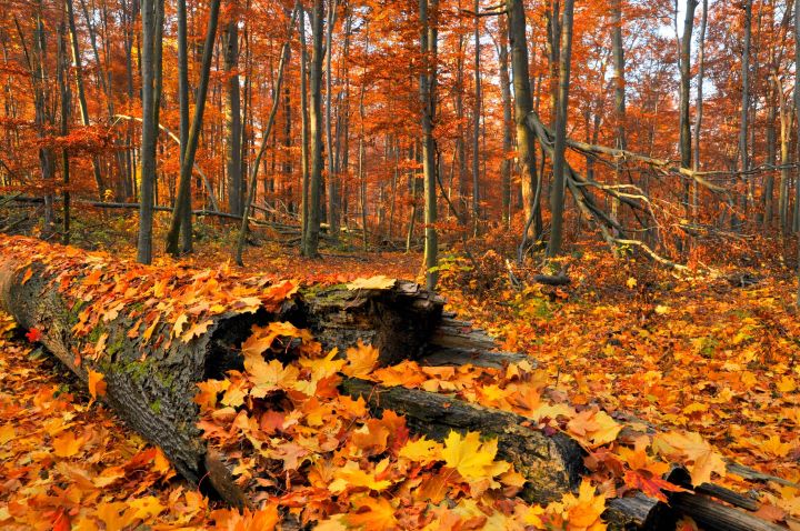 Autumn Holidays 2021/22: Best Deals for Autumn Travel