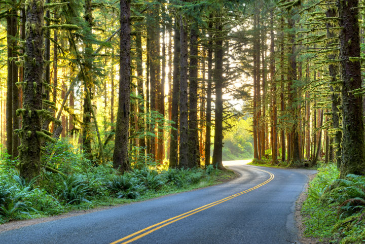 Travel to the Pacific Northwest (PNW): WA, OR, ID, & BC