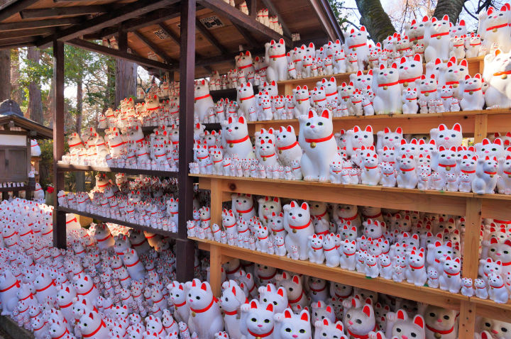 There's a new Pokemon theme park in Japan and we've found a bargain ...