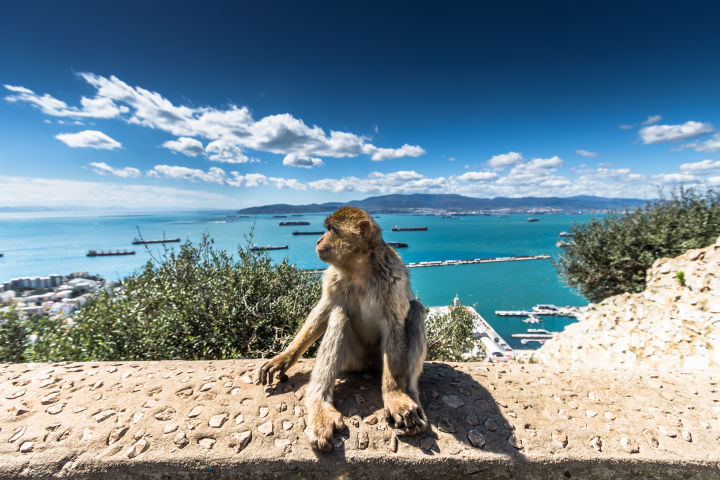😍 Flights to GIBRALTAR This Winter Are Almost Half Price! 🇬🇮