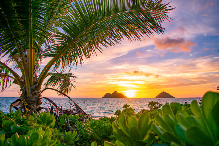 Inselhopping Hawaii 🌴 I Urlaubspiraten.de