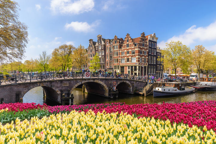 🌷 Ruta de las flores por Holanda ¡9 días!