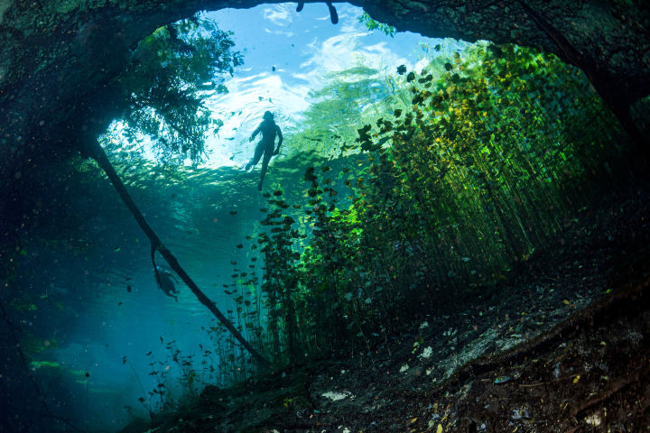 The world's most beautiful dive spots