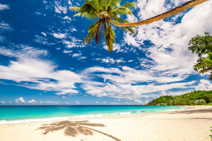 Seychelles for a steal: 12-night holiday 🐠🌴🥥