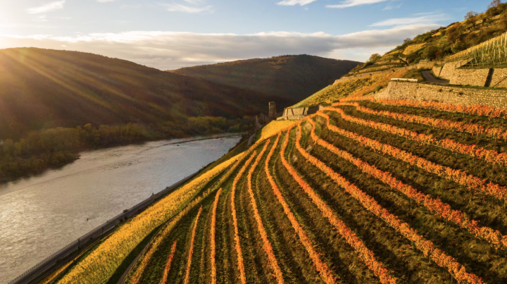 WOW! Dit fancy hotel ligt gewoon in Duitsland 🤩 | VakantiePiraten