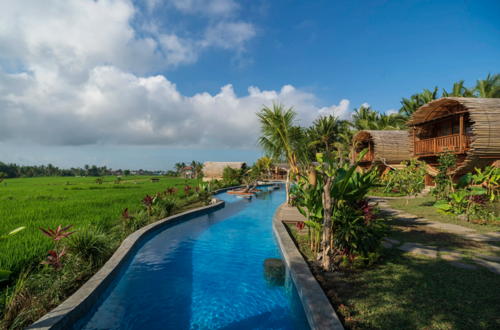 Au cœur des rizières à Bali 💚