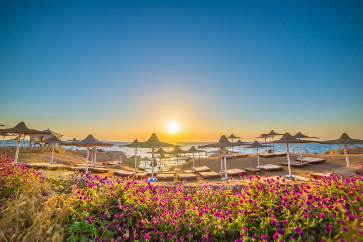 Vacanze All Inclusive a Sharm🌴🍹 Con spiaggia privata😍