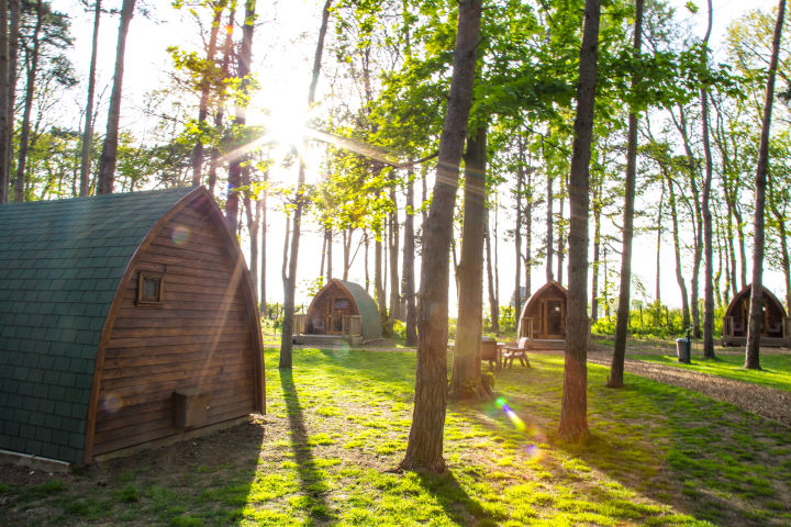 Feels like Africa! Port Lympne Reserve glamping pod stay inc. safari ...