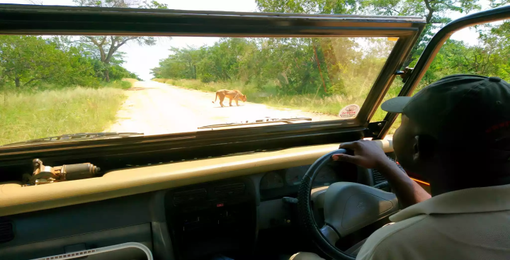 🐘 Dream South Africa safari trip with flights and 4* full-board stay 🦁