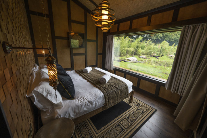 OMG! 😍 Stay in a tiger lodge at West Midlands Safari Park! 🐯