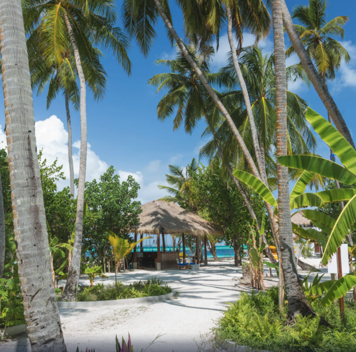 Malahini Kuda Bandos Resort | Malediven