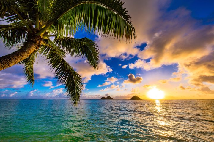 Hawaii Inselhopping: Aloha Vibe & California Dreaming