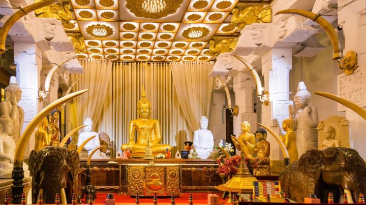 Sri Lanka with Friends: Temple, Tea & Highland Highs!