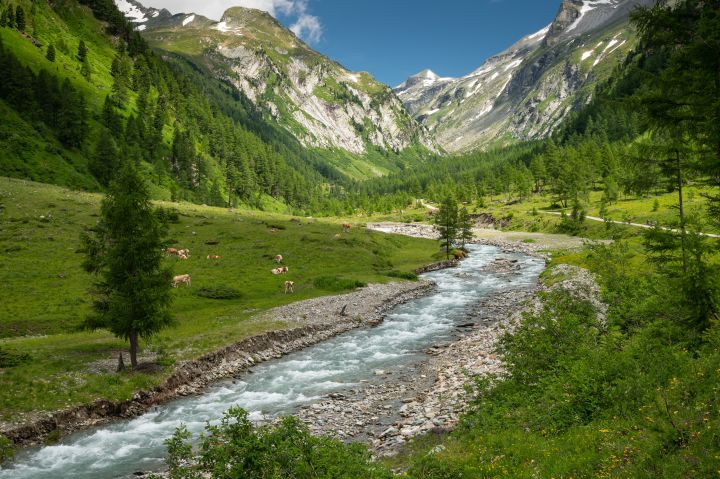 Stunning Austrian Alps family break with panoramic views ☀️