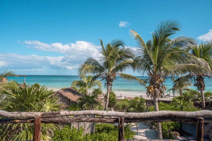 Say 'Shell Yeah' to This Beachfront Tulum Getaway 🌀🐠