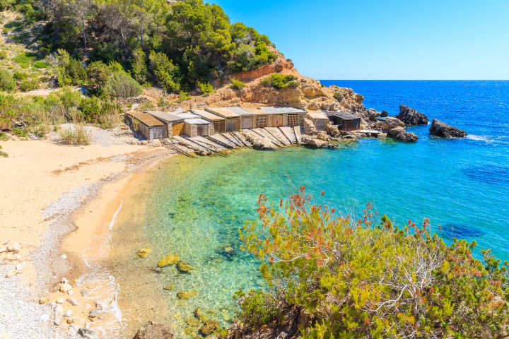 Des serpents dans l'eau à Ibiza : pourquoi et que faire