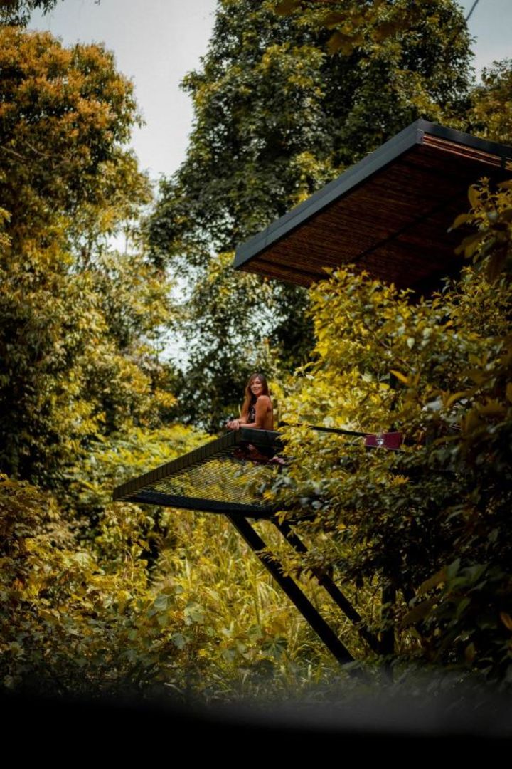 Stay at a Treehouse Hotel in Colombia | TravelPirates