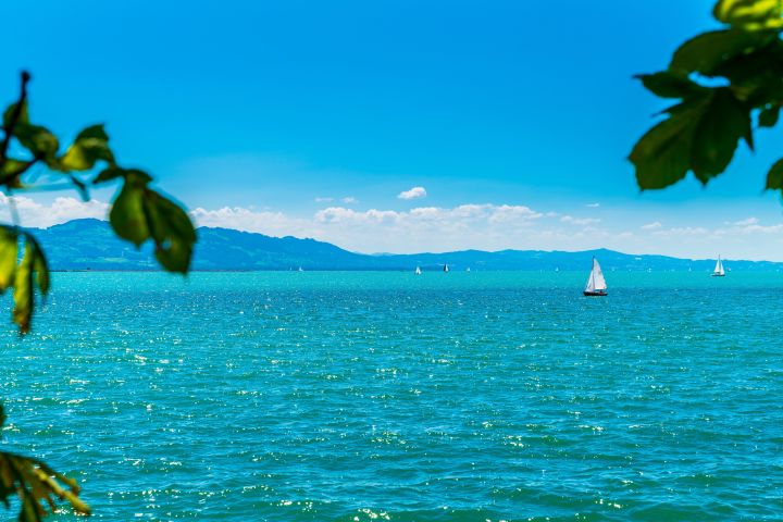 Bodensee Urlaub: Panoramabilder und Palmen am Strand