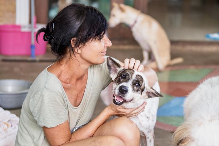 My Disabled Hairy Friends, Koh Samui