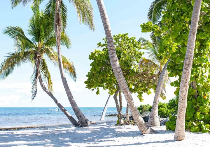 Incredible Prices on a Great-Value Key West Getaway 🥥🍹
