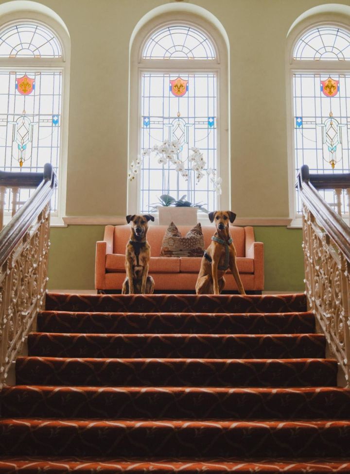 You can Stay at the Real-Life Hotel from 'The Witches' Movie 🔮