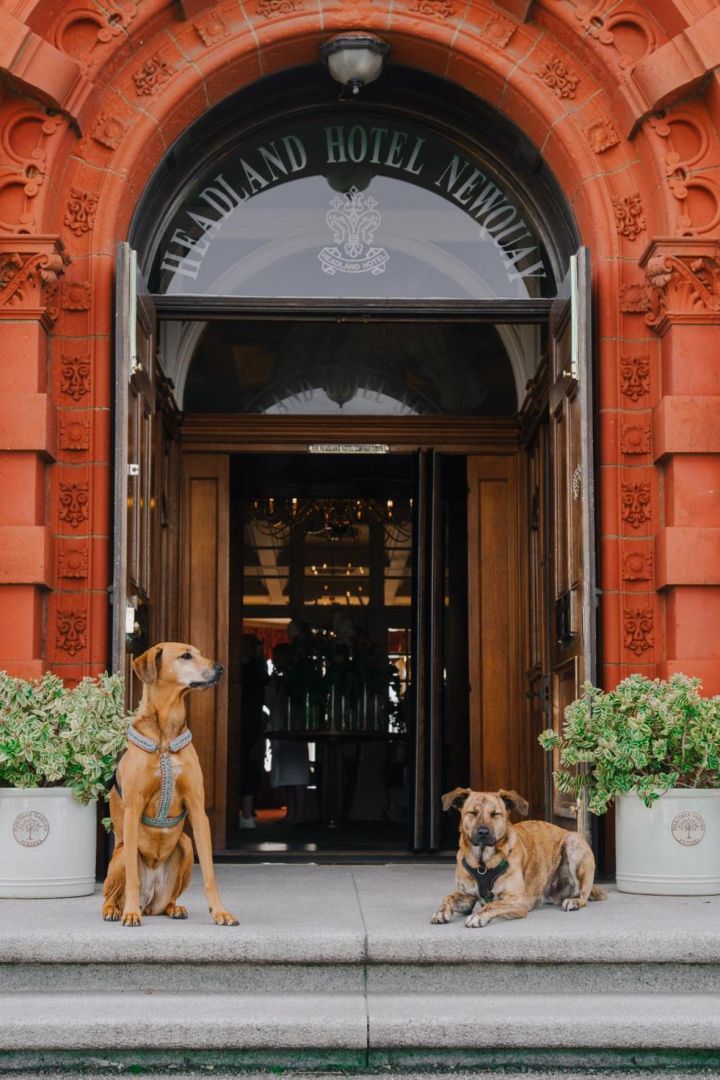 You can Stay at the Real-Life Hotel from 'The Witches' Movie 🔮
