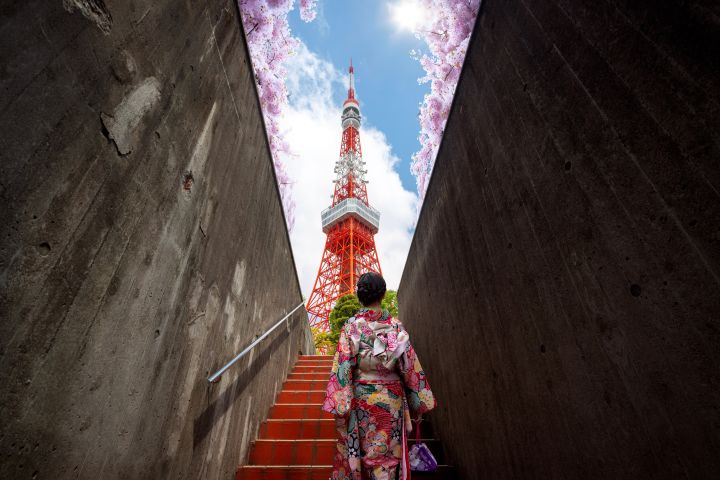 Neony Shibuyi i cisza świątyń 🏯 Tanie loty do Tokio 🇯🇵