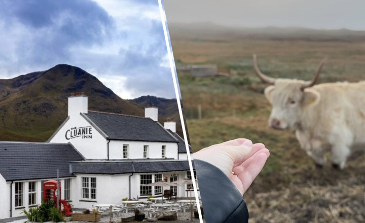 Scottish Highlands Getaway at an Inn With Highland Cows 🐮