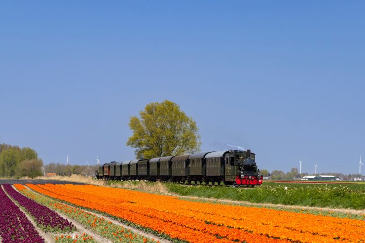 All Aboard! The Tulip Express 🌷 A Steam Train Journey in Holland 🚂